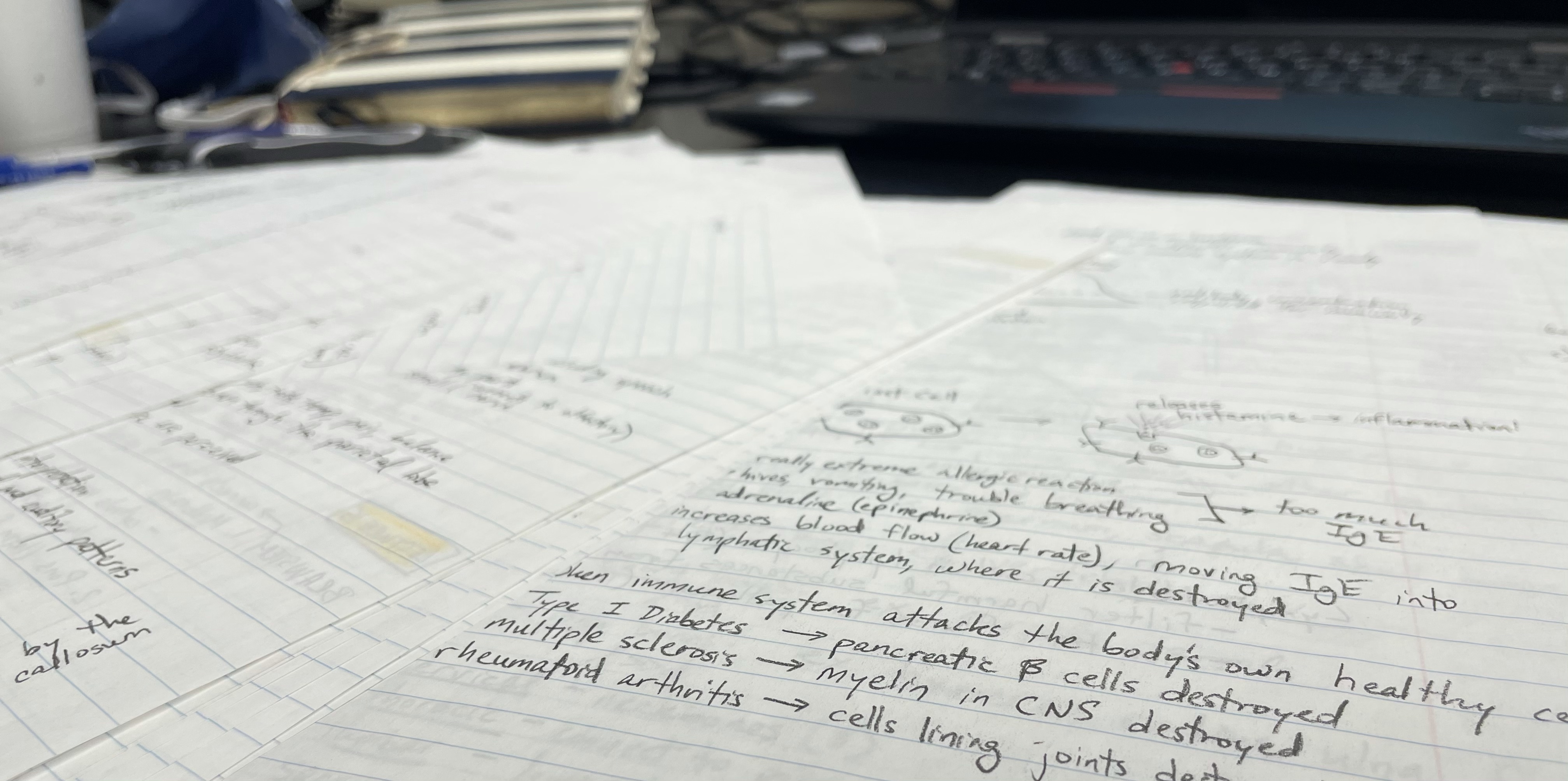 Physiology – Siebert Science