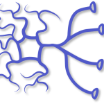 Siebert Science Teaching Videos Writing