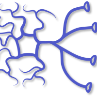 All Posts – Siebert Science