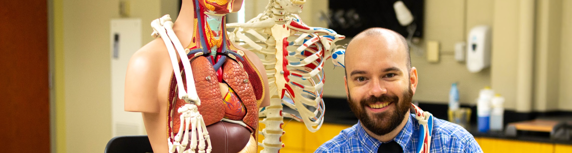 Welcome to Siebert Science! – Siebert Science