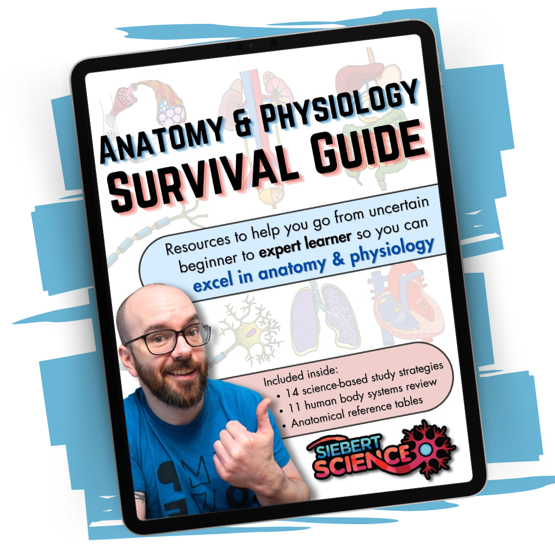 Anatomy & Physiology – Siebert Science
