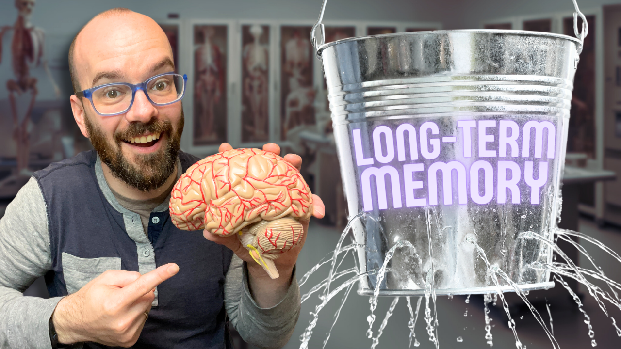 Siebert Science – teaching | videos | writing